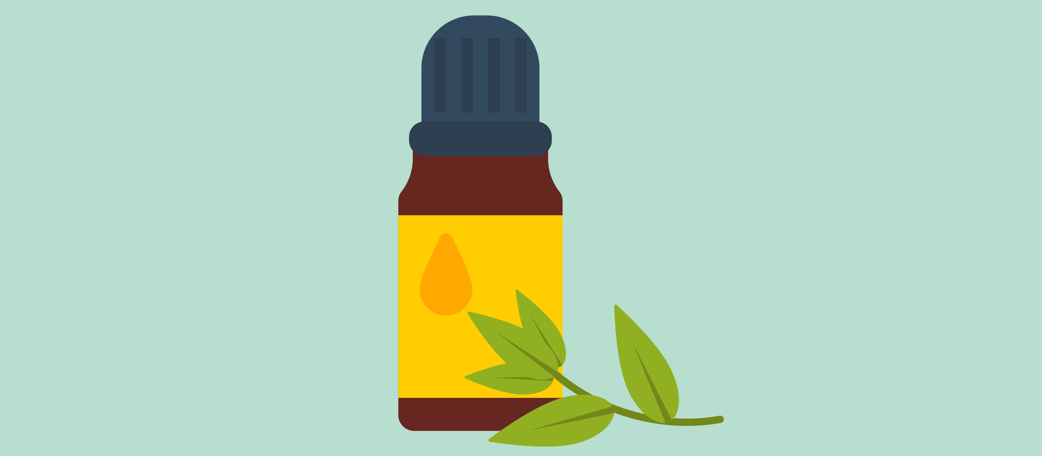 Exploring Tea Tree Oil: Uses, Benefits & Safety Advice